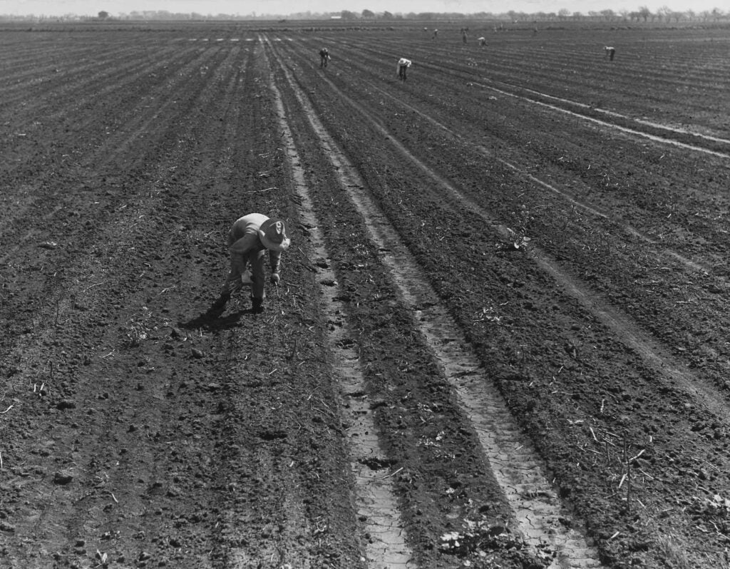 Module 5: Agricultural Workers Organizing Committee (AWOC) and National ...