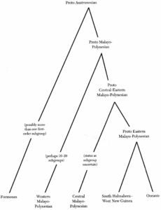 Oceanic Languages Tree Diagram – Foundations and Futures