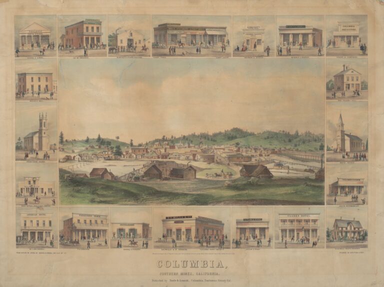 Module 2: Chinese Immigration and Labor from the Gold Rush to the ...